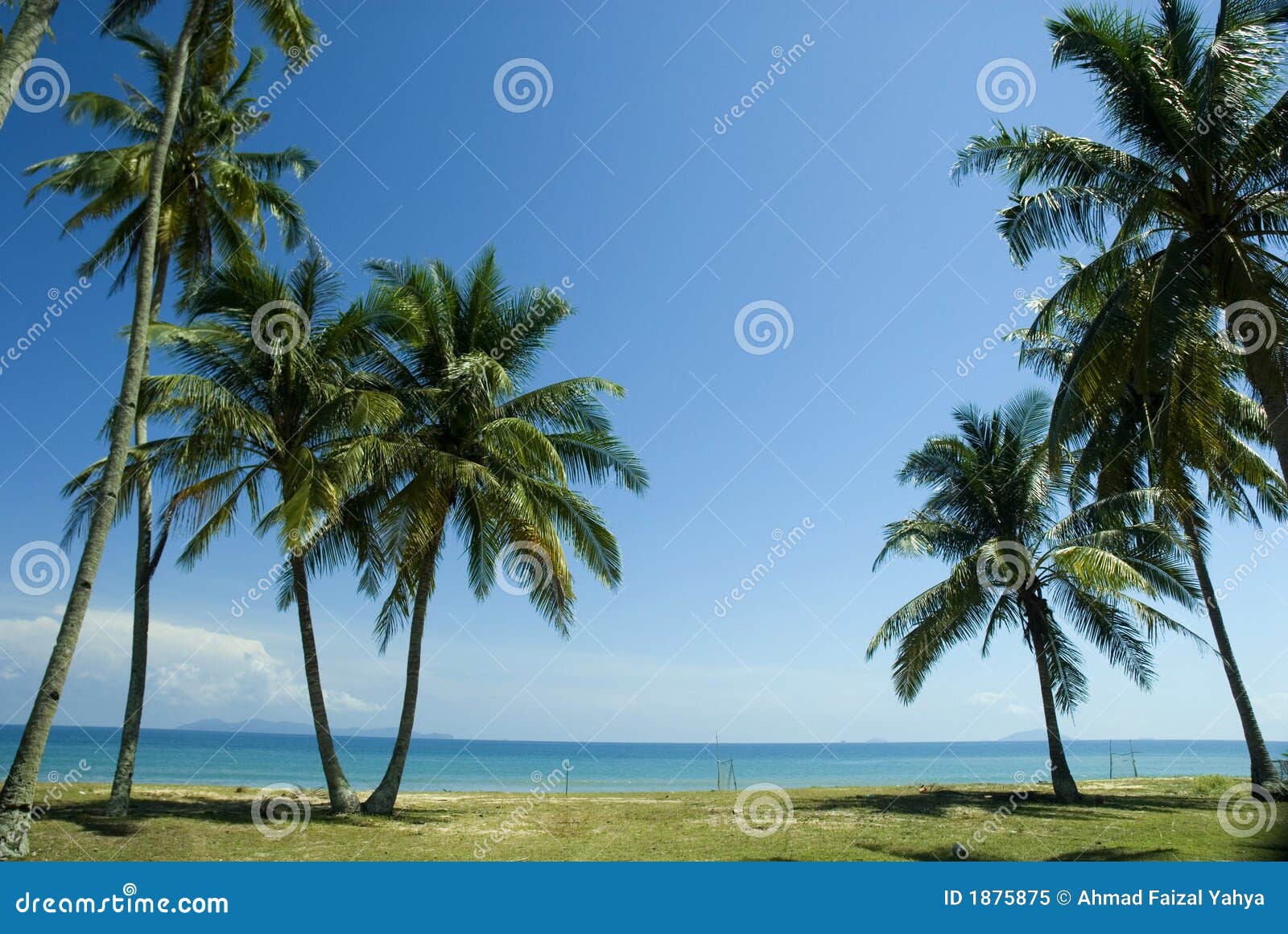 Sunny tropical beach stock image. Image of scenic, coastal - 1875875