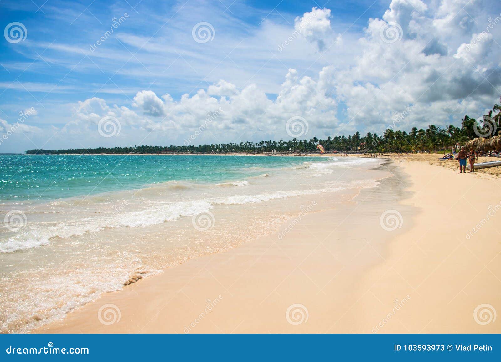 Sunny Tropical Beach with Palm and Perfect Sky Editorial Stock Photo ...