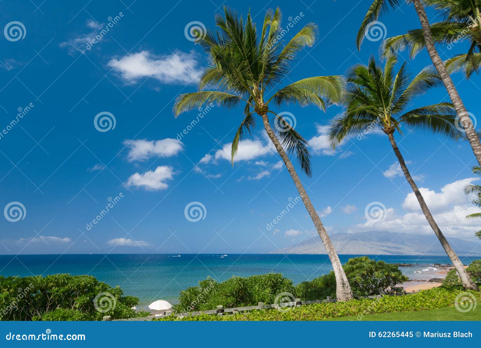 Sunny tropical beach stock image. Image of travel, coconut - 62265445
