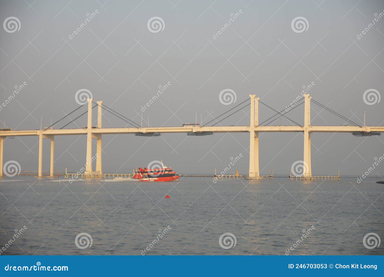 Sunny View of the Amizade Bridge Editorial Stock Photo - Image of ...