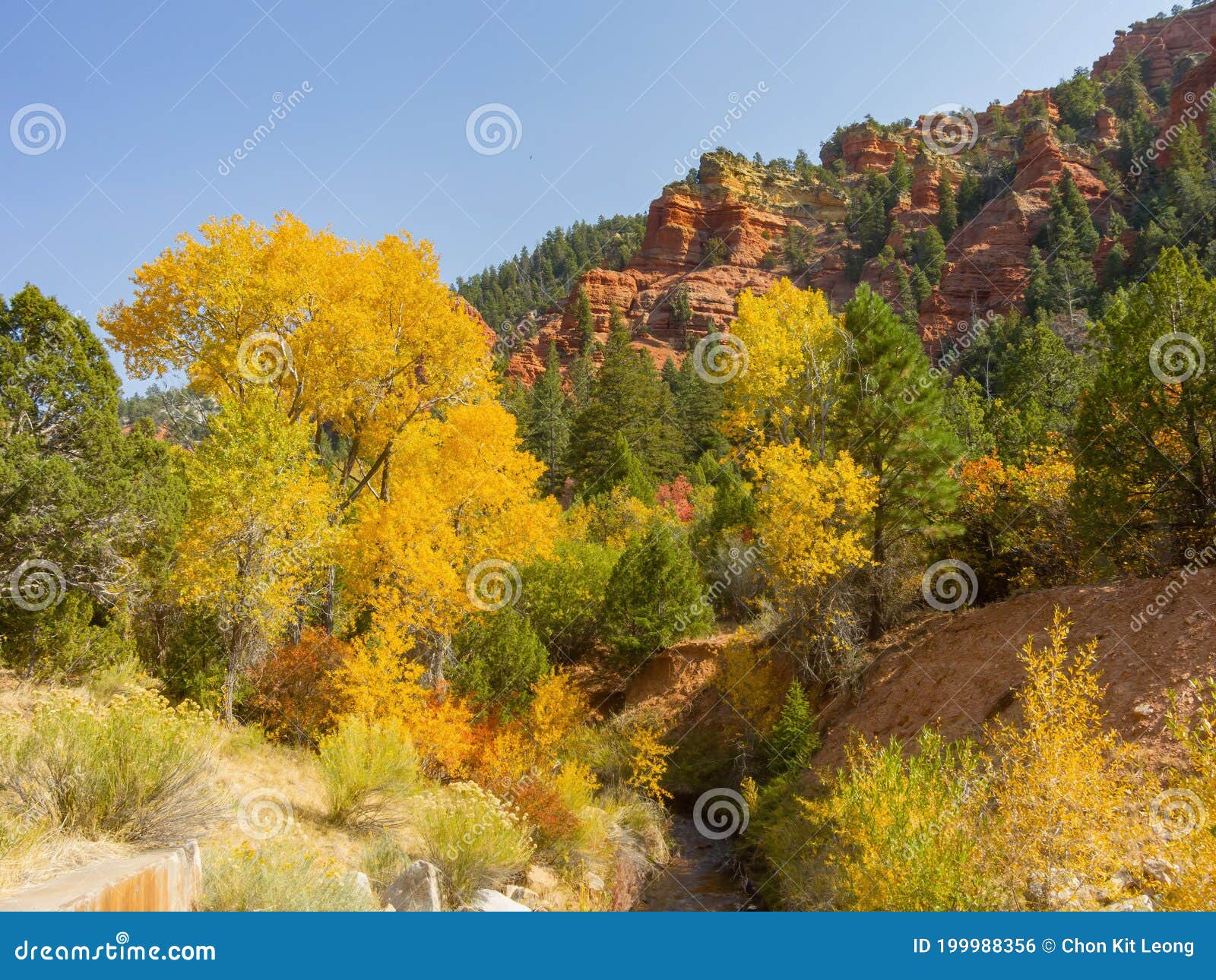 Sunny View of Beautiful Fall Color Around Parowan Canyon Stock Photo ...