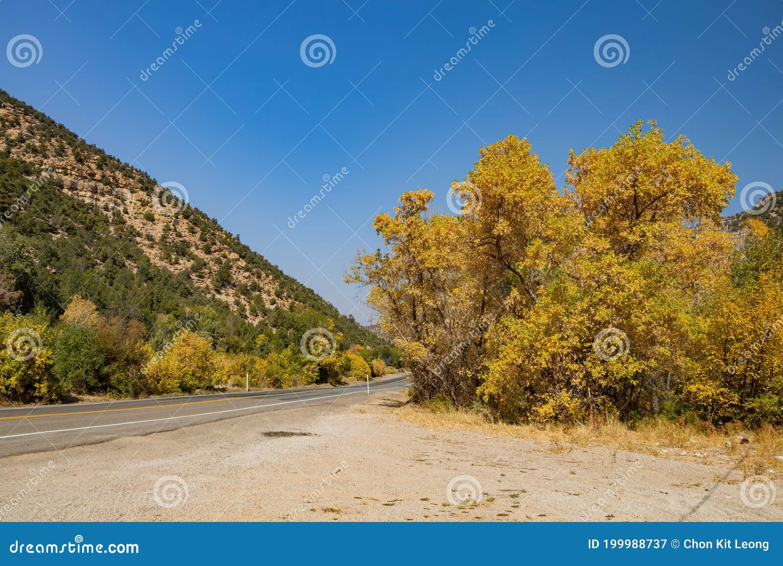 Sunny View of Beautiful Fall Color Around Parowan Canyon Stock Image ...