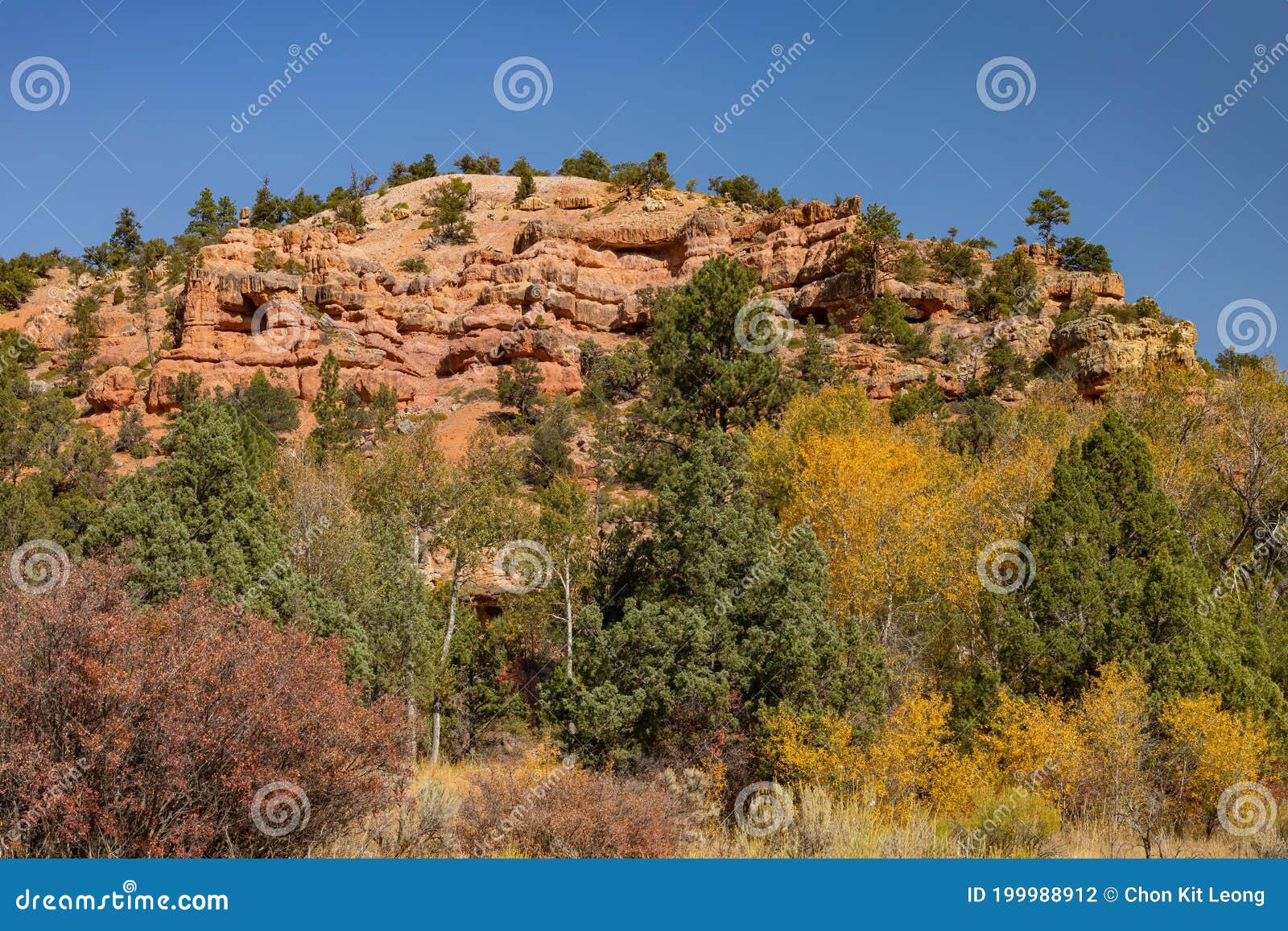 Sunny View of Beautiful Fall Color Around Parowan Canyon Stock Photo ...