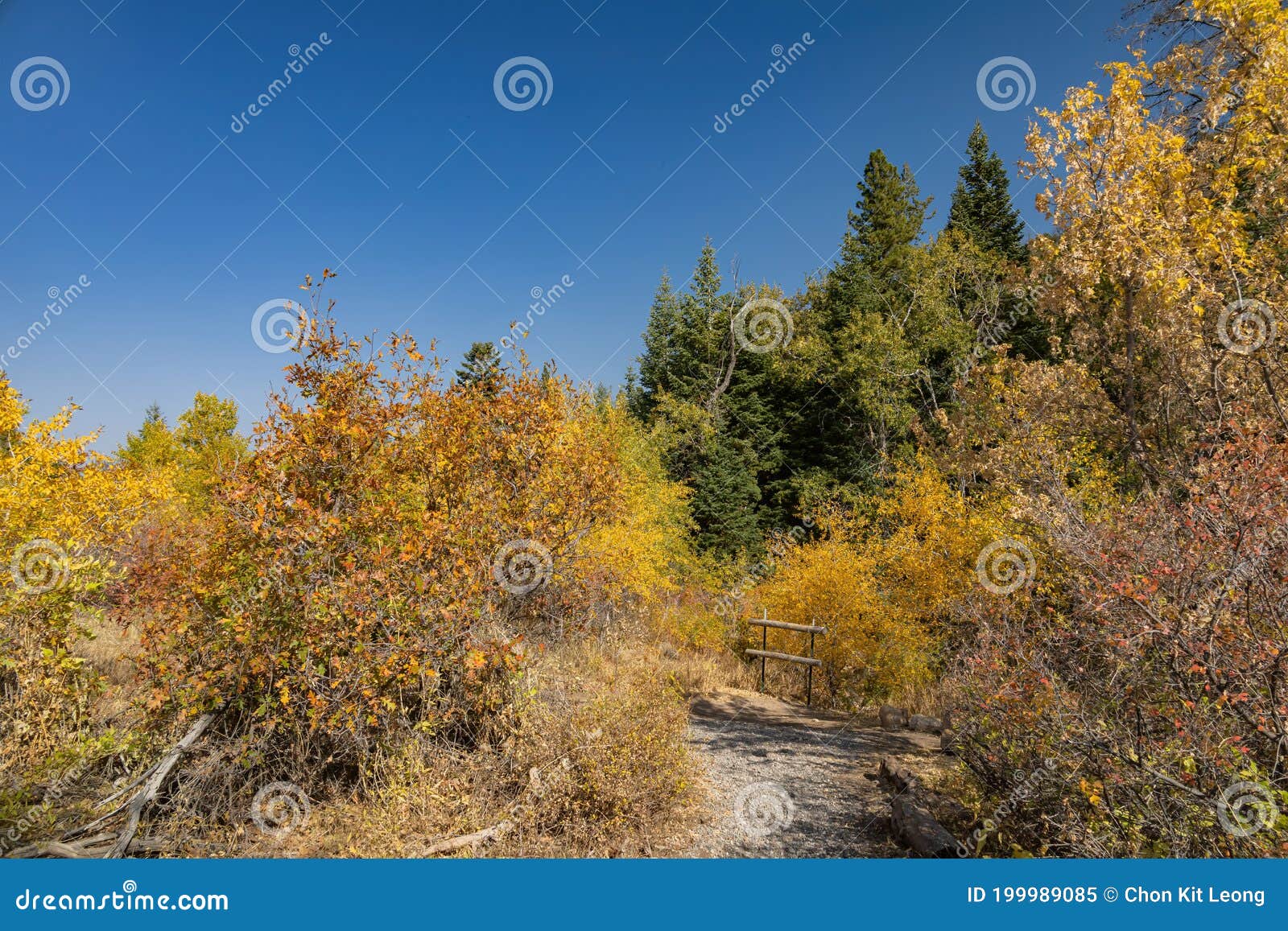 Sunny View of Beautiful Fall Color Around Parowan Canyon Stock Image ...