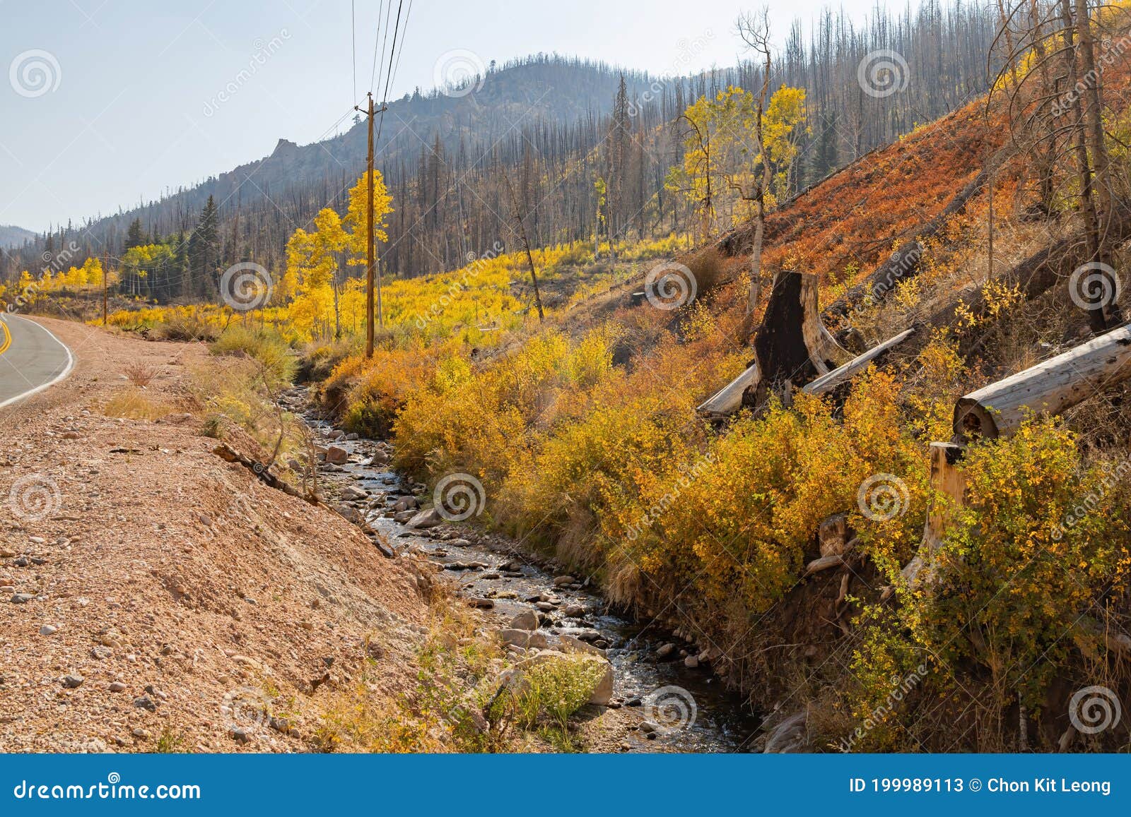 Sunny View of Beautiful Fall Color Around Parowan Canyon Stock Image ...