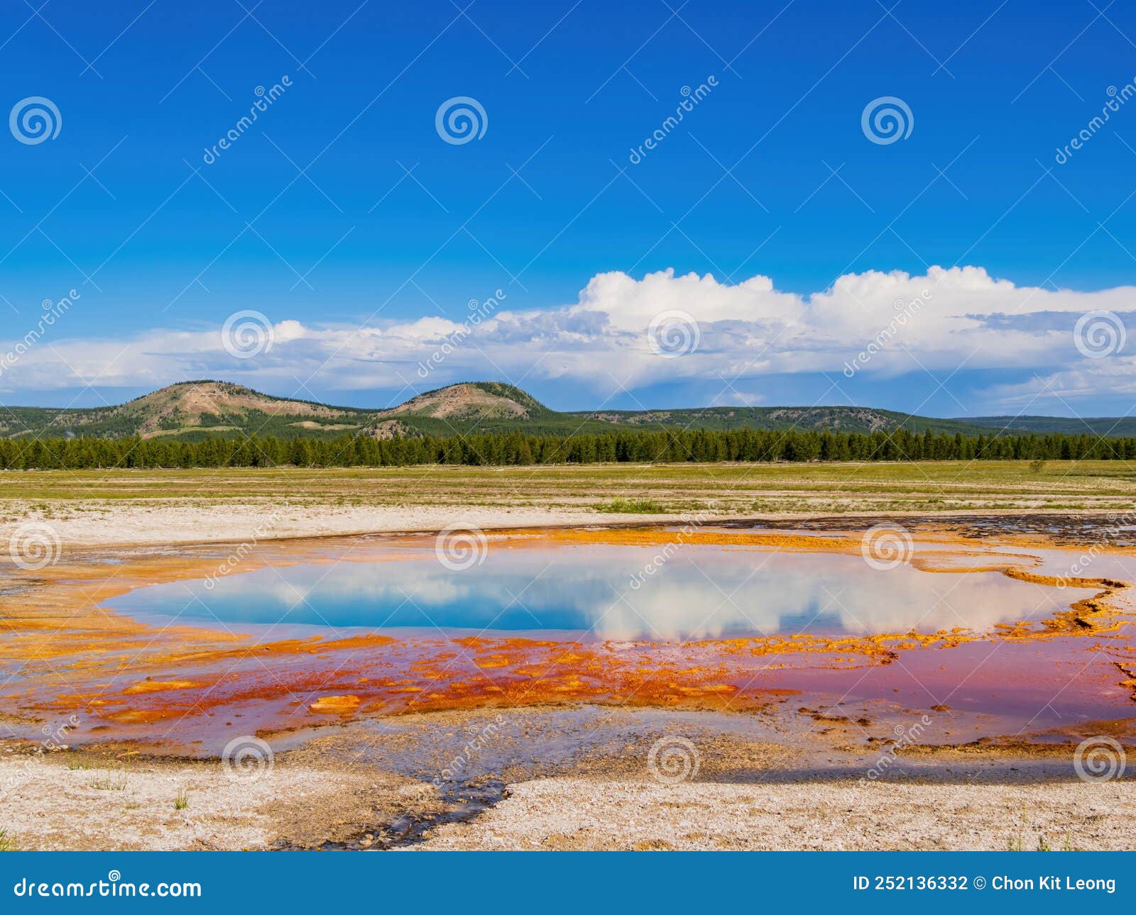 Sunny View of the Beautiful Opal Pool Stock Photo - Image of nature ...