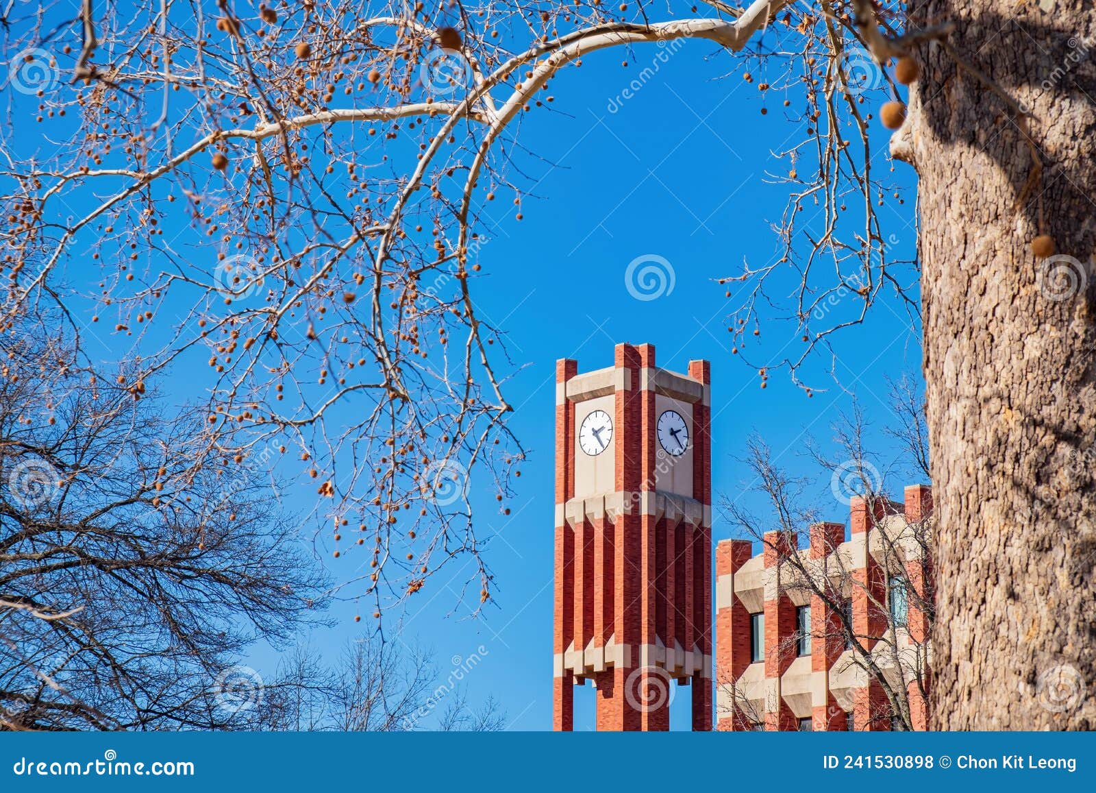 Sunny View of the Clock Tower of OU Stock Photo - Image of united ...