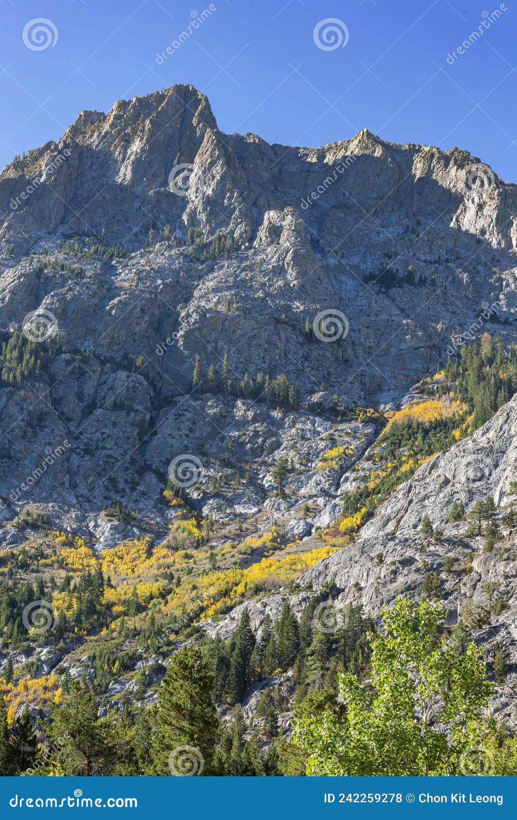 Sunny View of the Fall Color in June Lake Loop Stock Photo - Image of ...