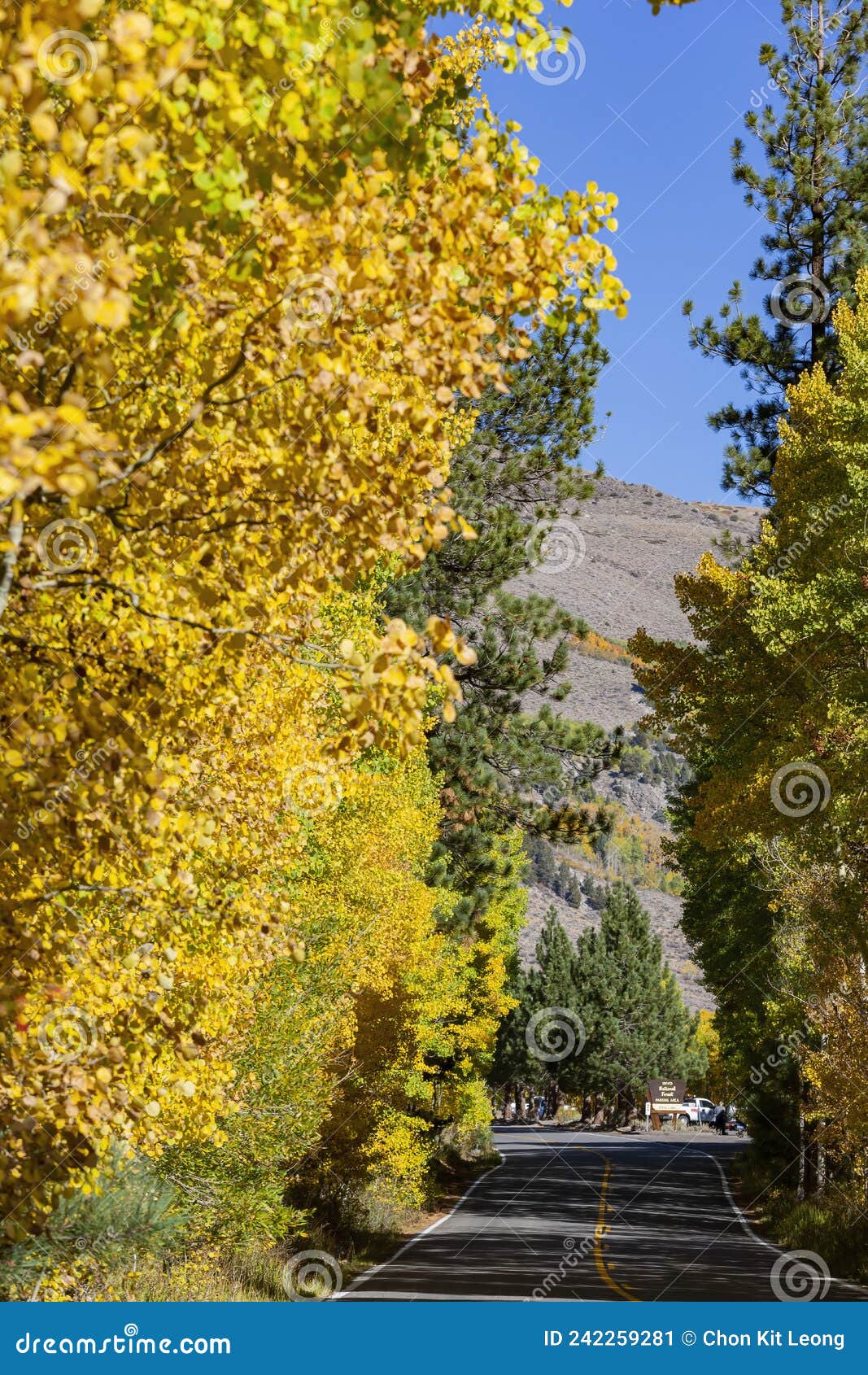 Sunny View of the Fall Color in June Lake Loop Stock Image - Image of ...