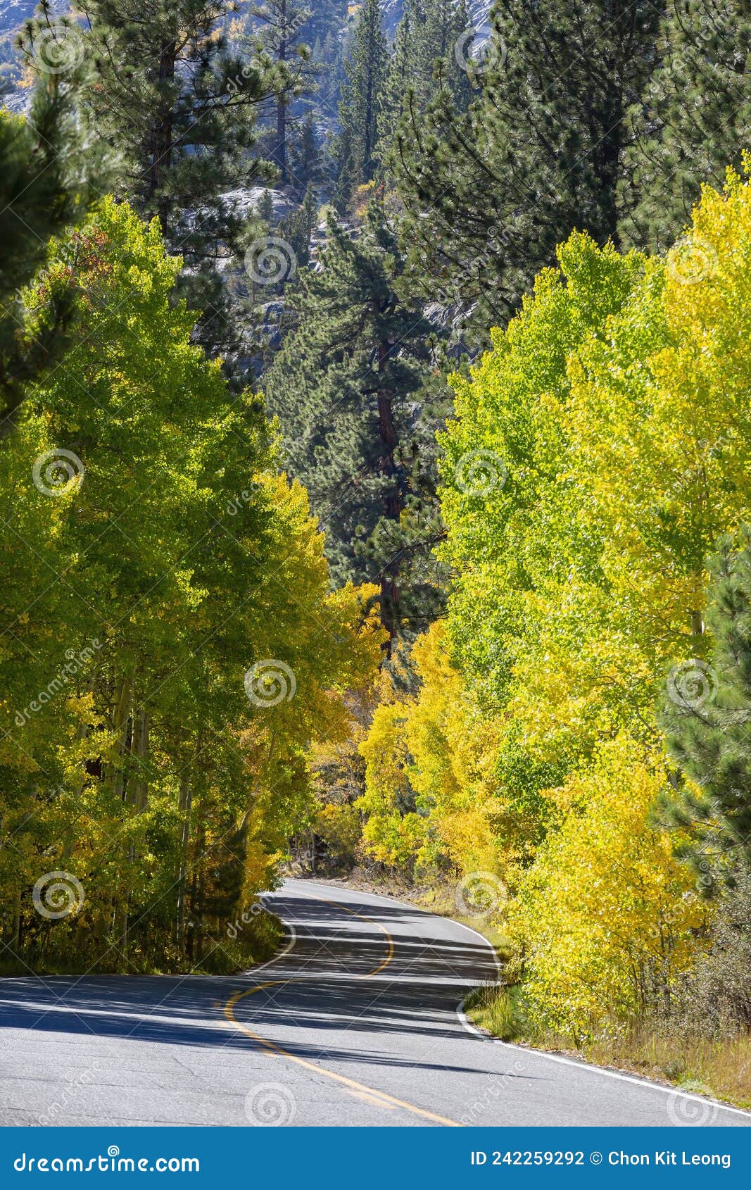 Sunny View of the Fall Color in June Lake Loop Stock Photo - Image of ...