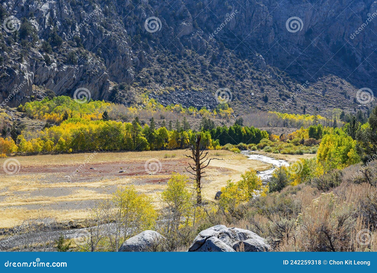 Sunny View of the Fall Color in June Lake Loop Stock Photo - Image of ...