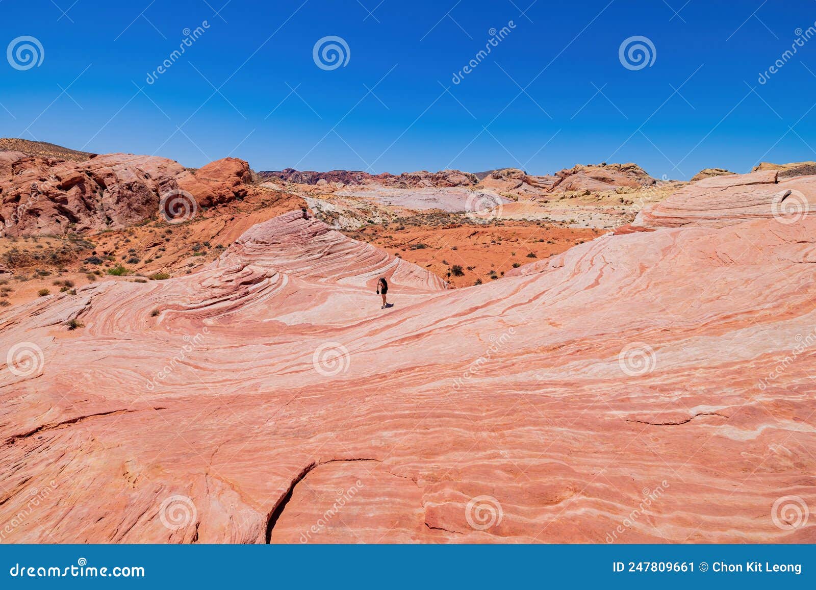 Sunny View of the Firewave of Valley of Fire State Park Editorial Photo ...