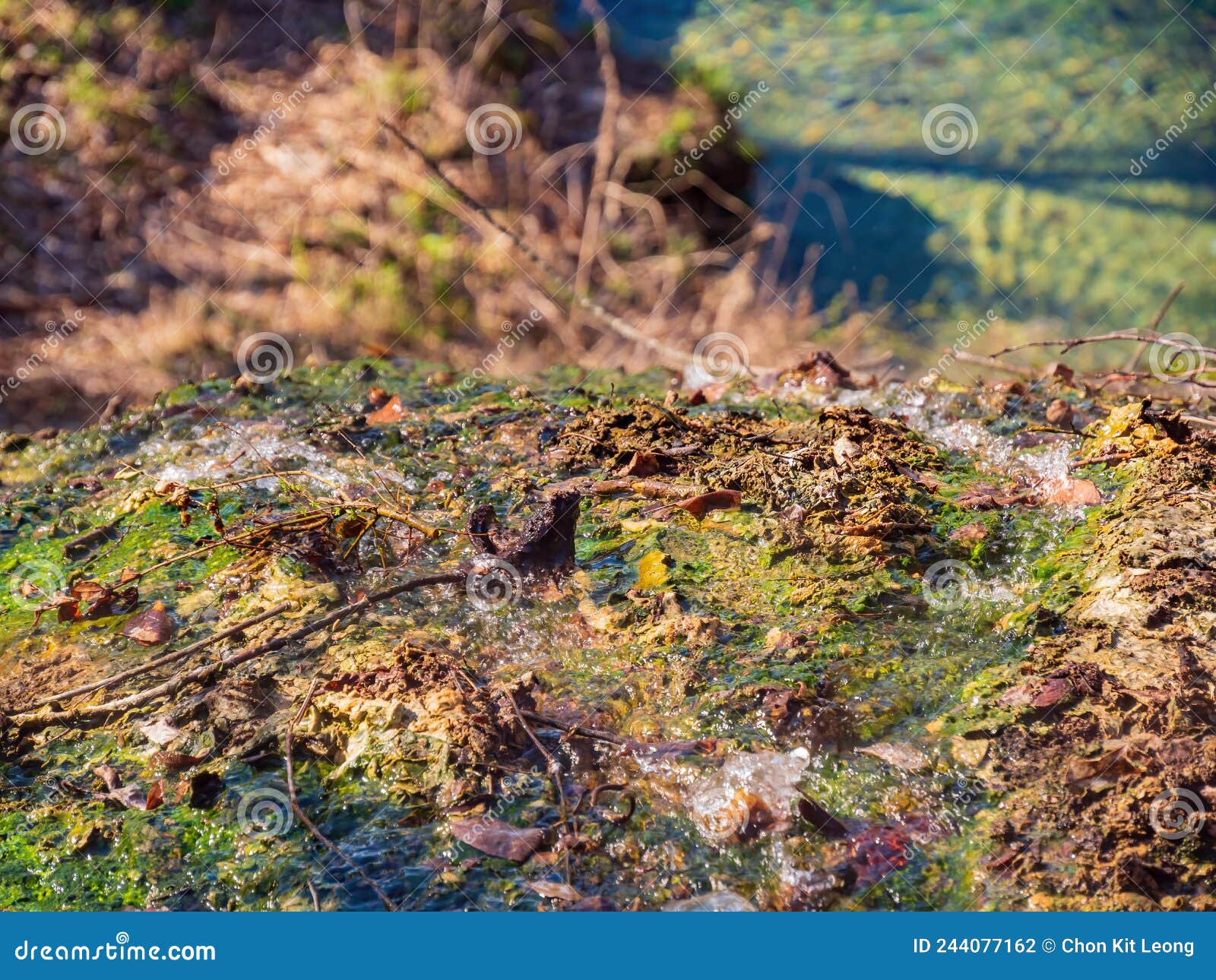 Sunny View of the Hot Spring Above Ground Stock Photo - Image of ...