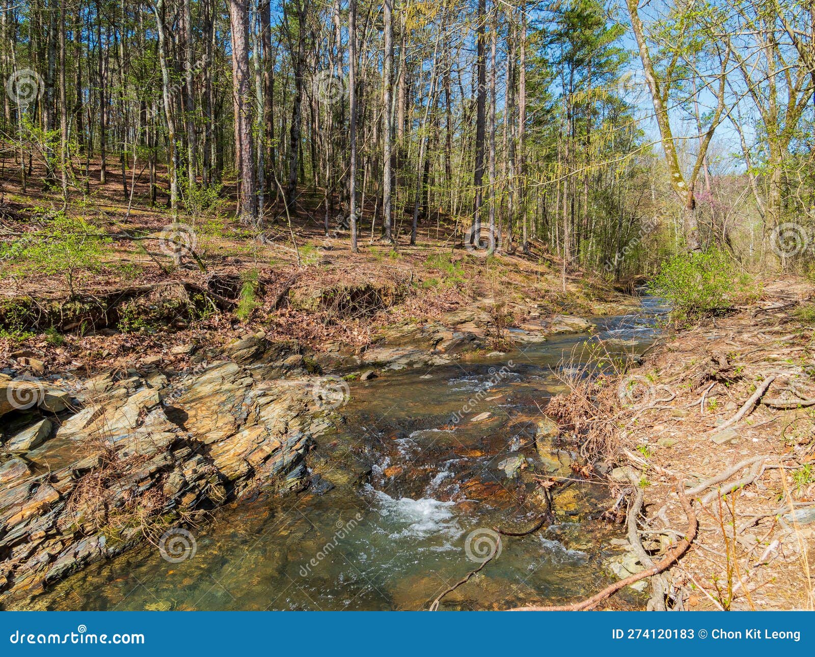 Sunny View of the Landscape of Beaver River in Beavers Bend State Park ...