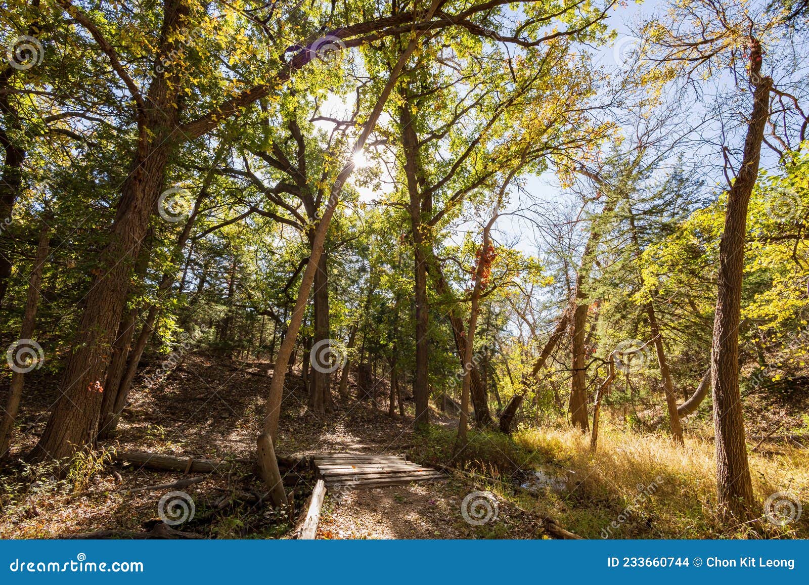 Sunny View of the Landscape Inside the Boiling Springs State Park Stock ...