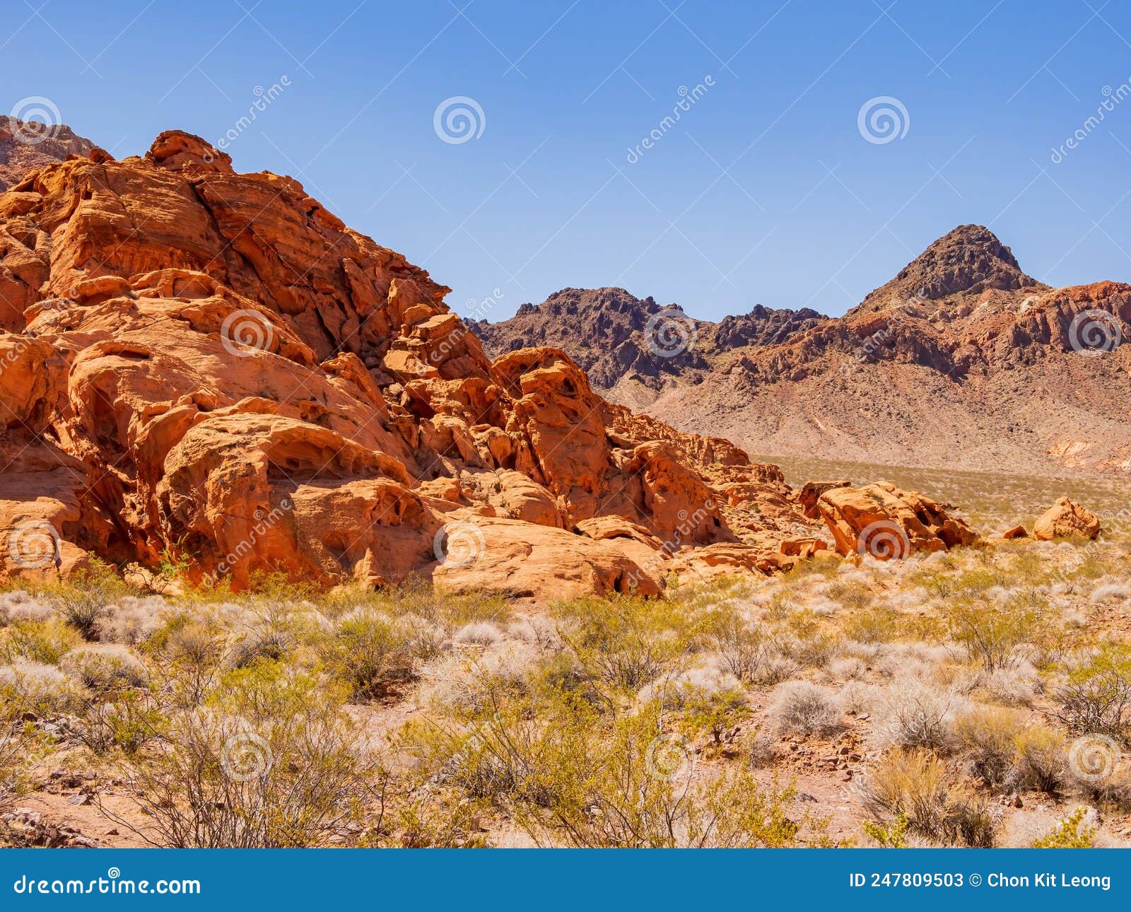 Sunny View of the Landscape of Redstone Park Stock Image - Image of ...