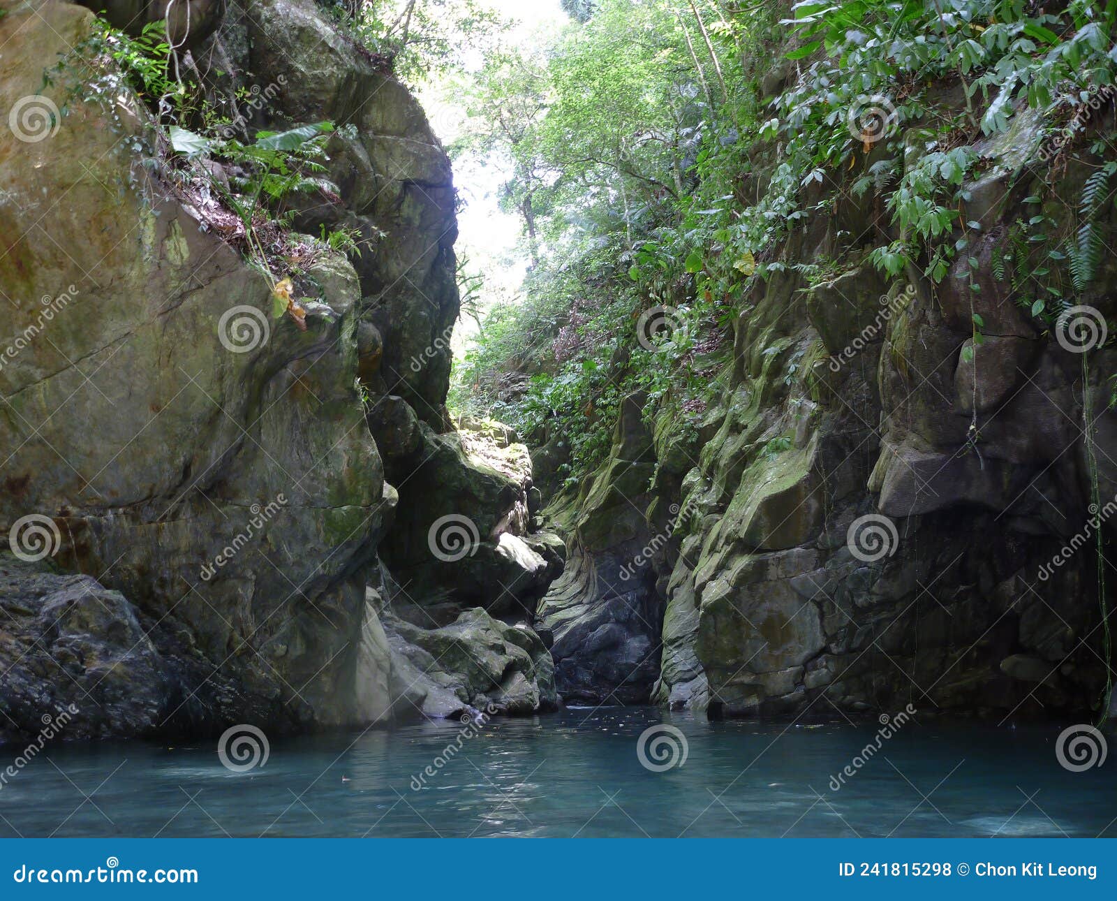 Sunny View of the Landscape during a River Tracing Event Stock Photo ...