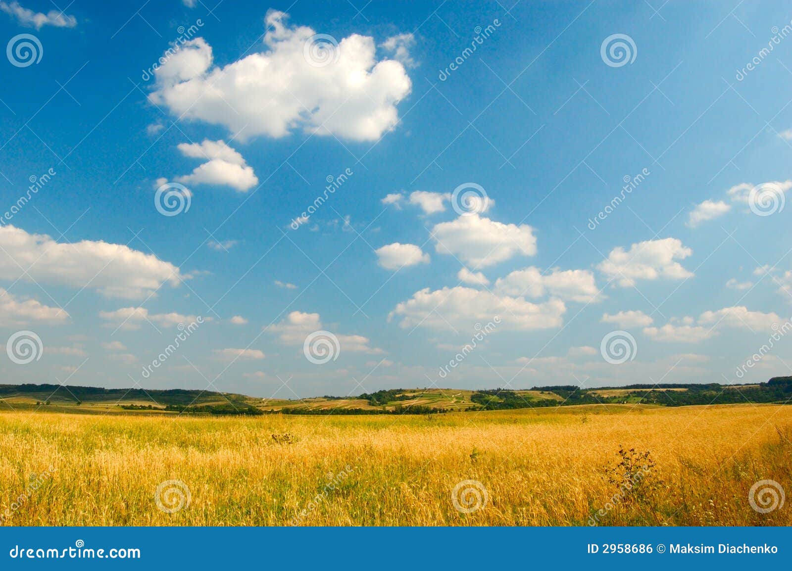 Sunny view on meadow stock photo. Image of landscape, idyllic - 2958686