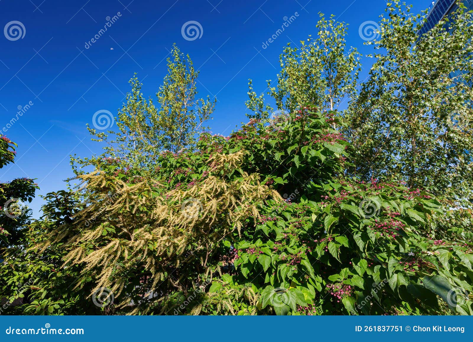 Sunny View of Nature Landscape Stock Image - Image of united, landscape ...