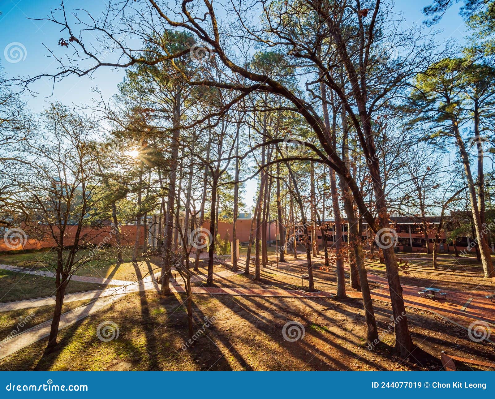 Sunny View of the Ross Hell of University of Arkansas Stock Image ...