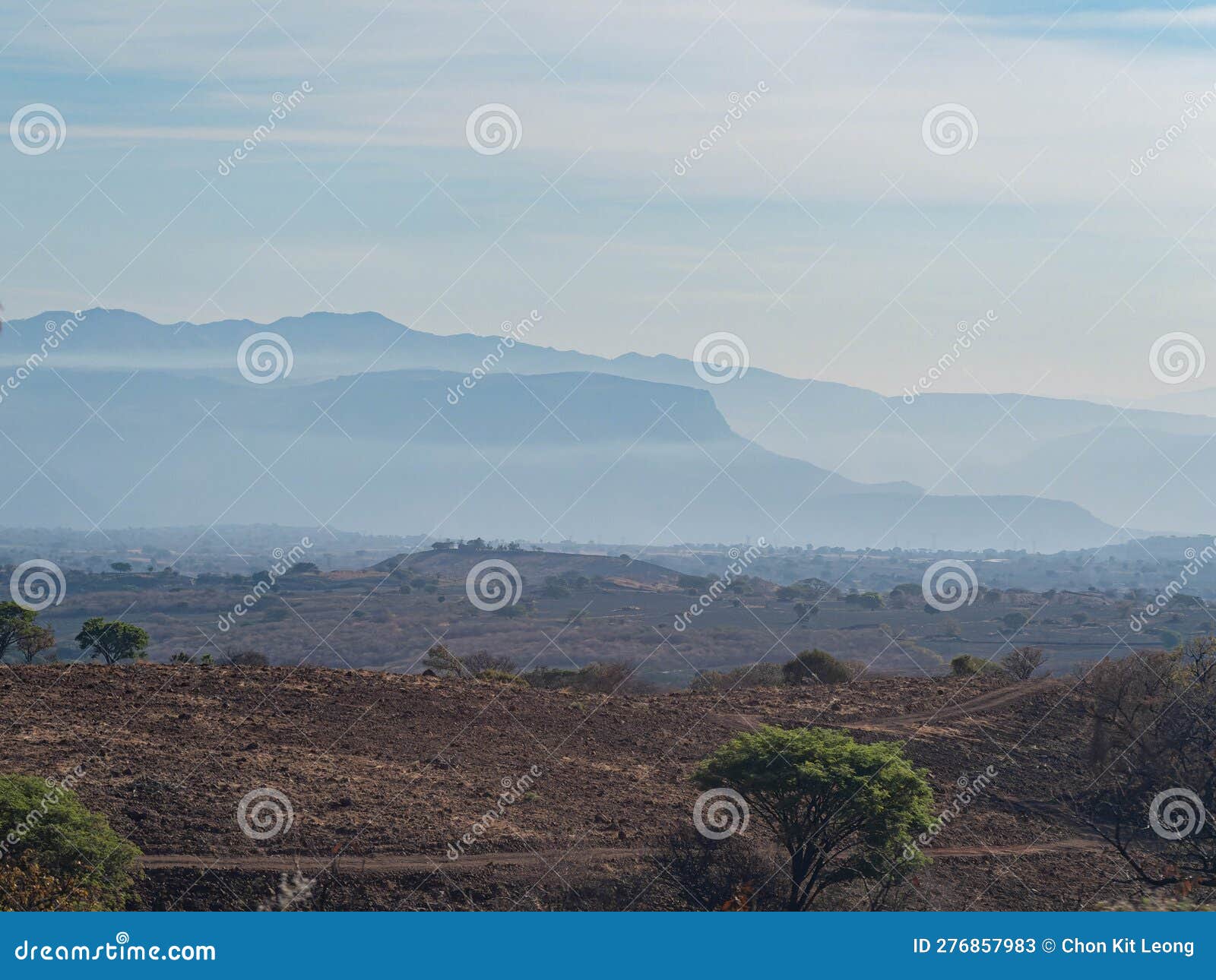 Sunny View of the Tequila Farm Stock Image - Image of jalisco, plant ...