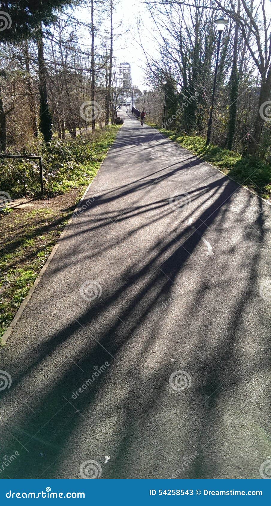 Sunny walk stock image. Image of path, walk, summer, trees - 54258543