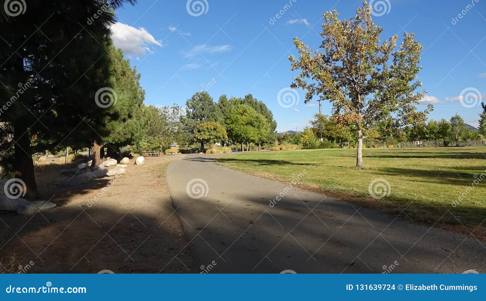 Sunny Walking Path in a Park Stock Photo - Image of pretty, sunny ...