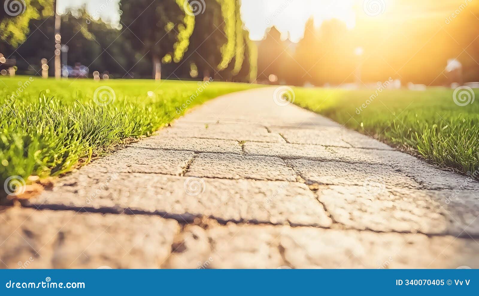 Sunny Walkway through Green Grass Landscape Stock Illustration ...