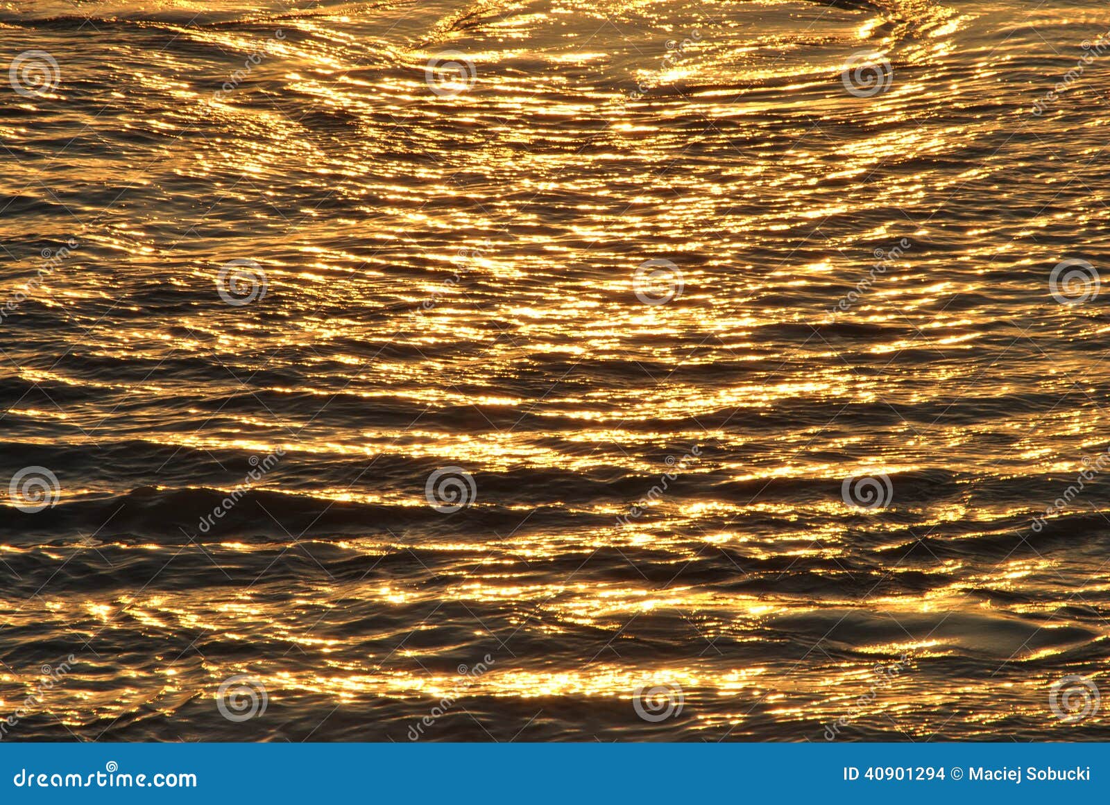 Sunny water stock photo. Image of water, orange, nature - 40901294