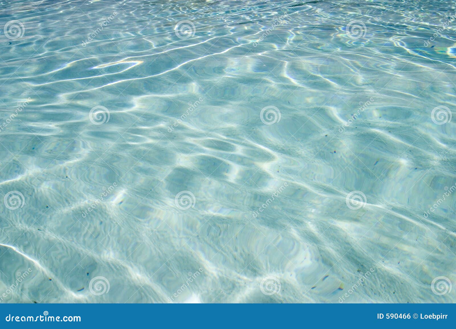 Sunny Water Reflections stock photo. Image of transparent - 590466