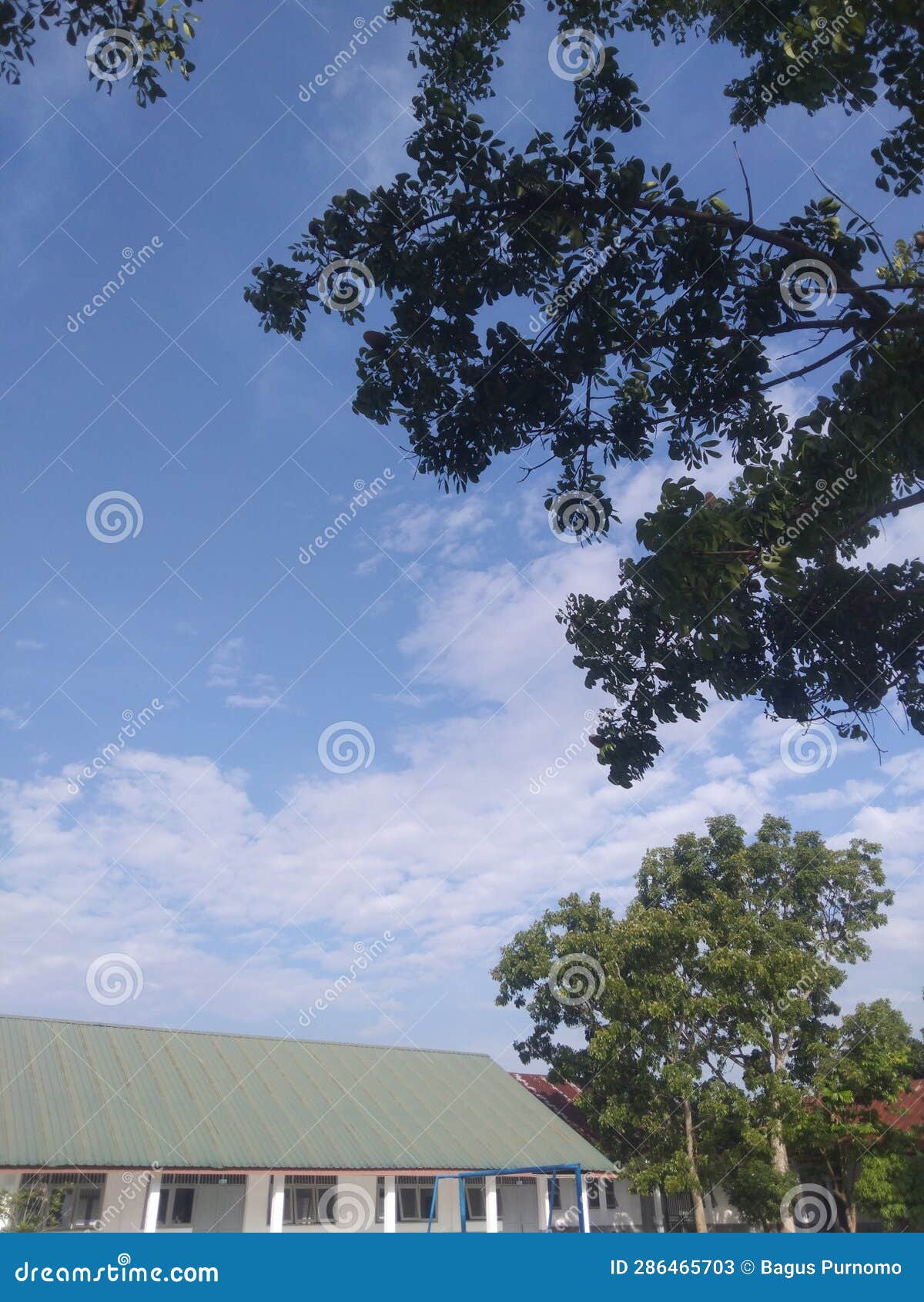 Sunny Weather during the Day with Trees in Indonesia Stock Image ...