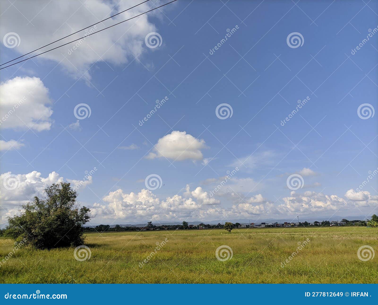 Sunny Weather in the Fields in the Morning Stock Image - Image of view ...