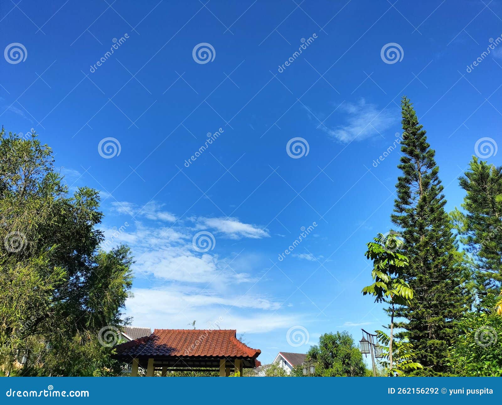 Sunny Weather with Shady Green Trees Stock Photo - Image of lawn ...