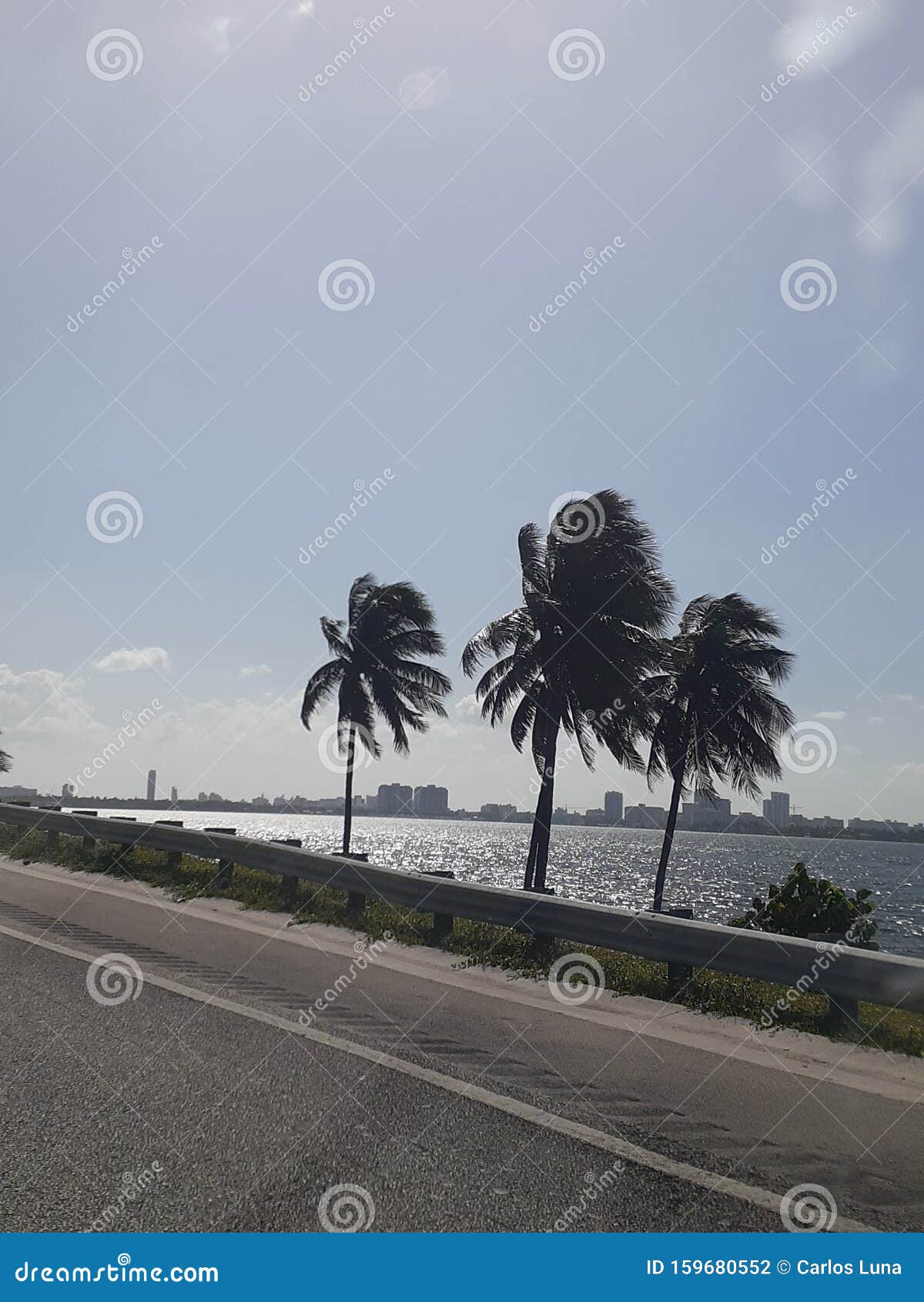 A Sunny and Windy Day in Miami Stock Photo - Image of windy, miami ...