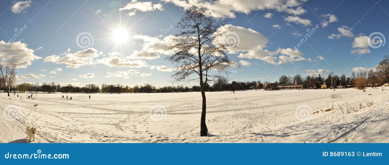 Sunny Winter Day stock image. Image of sunny, leisure - 8689163