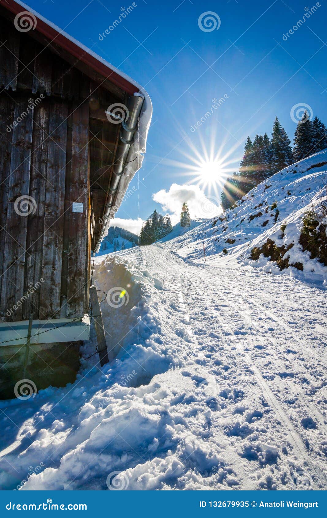 Sunny winter day stock image. Image of portrait, energy - 132679935