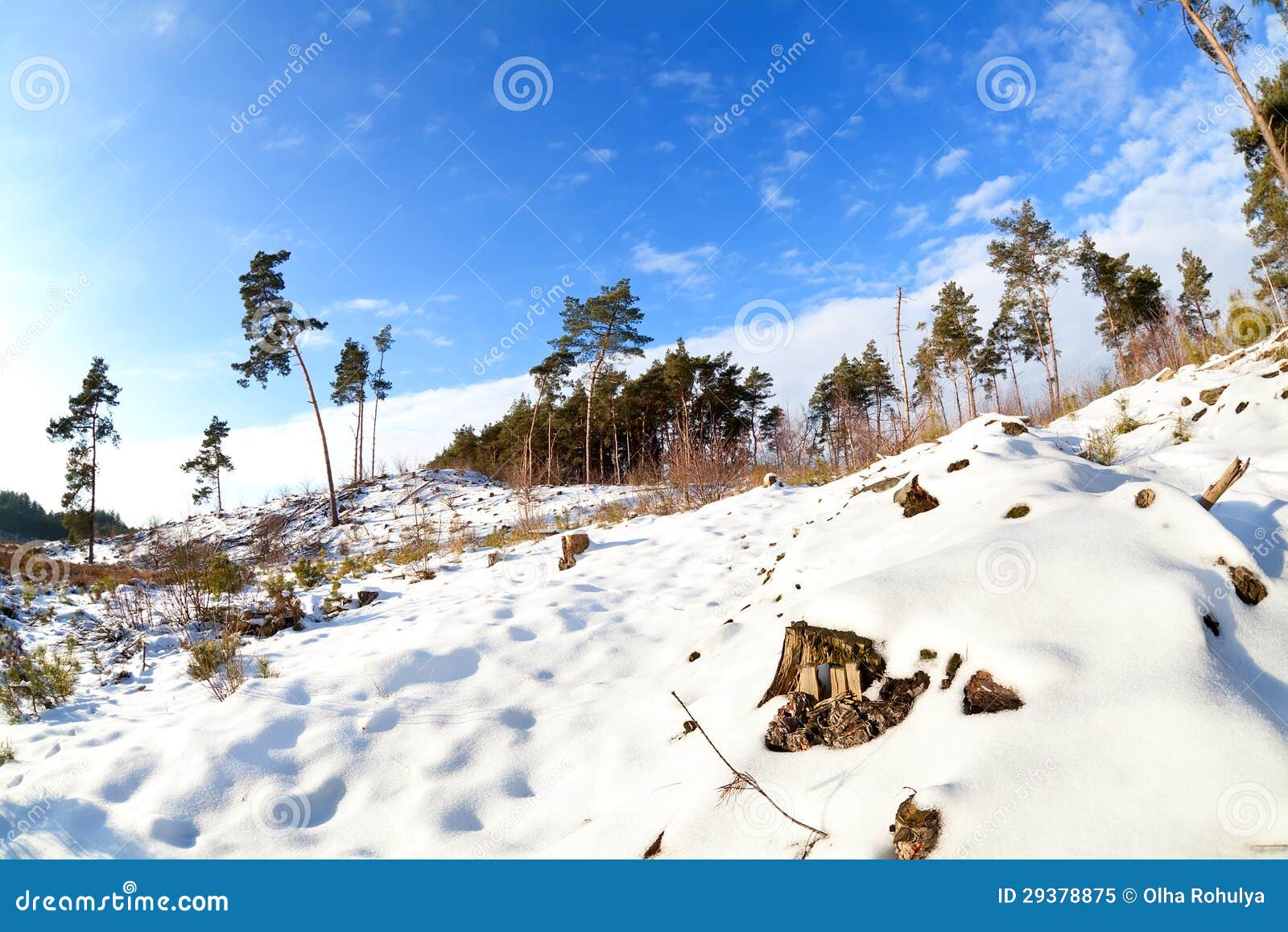 Sunny winter landscape stock image. Image of cloud, scenic - 29378875
