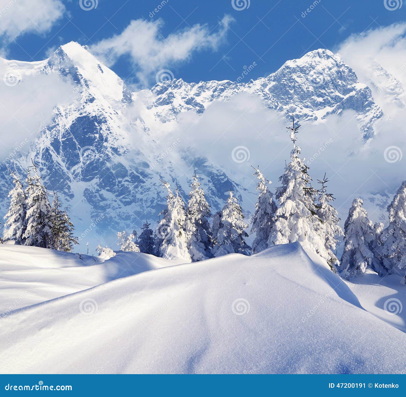 Sunny Winter Landscape immagine stock. Immagine di gelo - 47200191