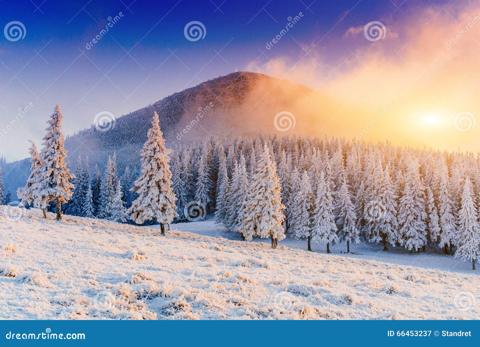 Sunny Winter Landscape imagen de archivo. Imagen de niebla - 66453237