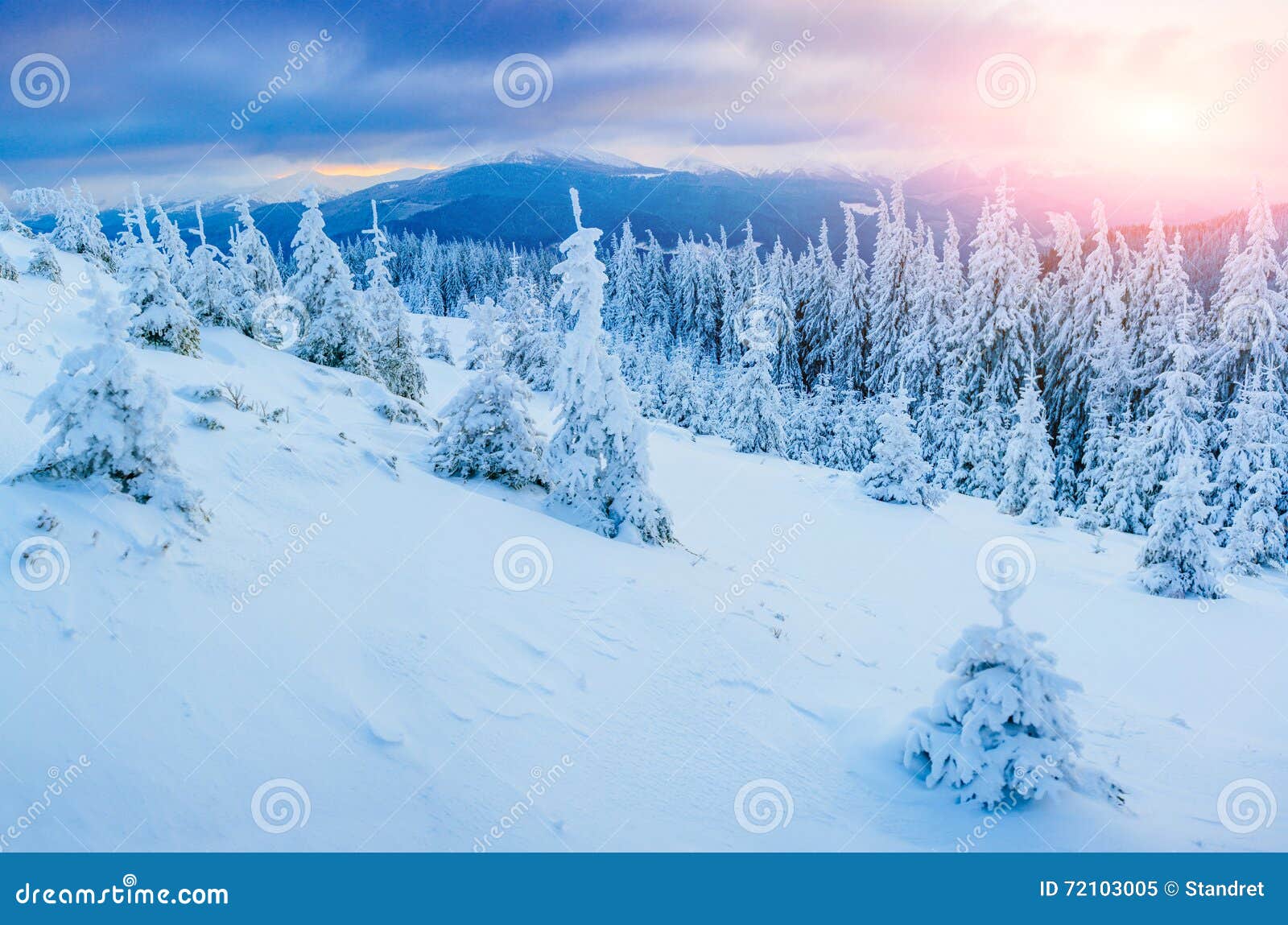 Sunny winter landscape stock image. Image of gloom, misty - 72103005