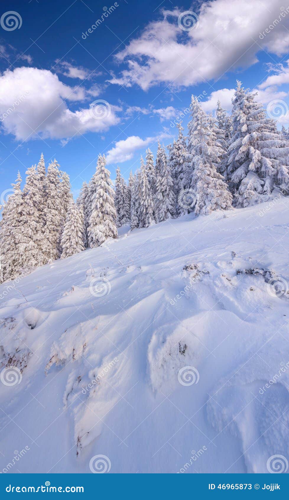 Sunny Winter Landscape in Mountain Forest Stock Image - Image of chill ...