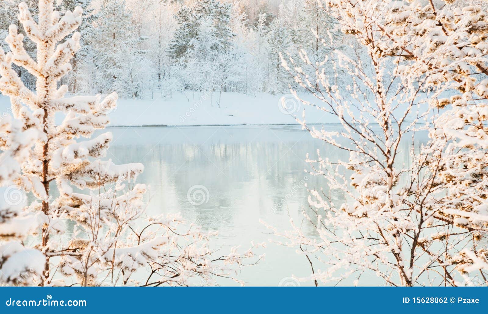 Sunny Winter Landscape - River Stock Photo - Image of forest, cold ...