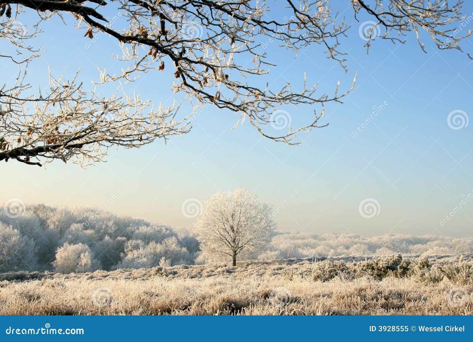 Sunny wintery landscape stock image. Image of outdoors - 3928555