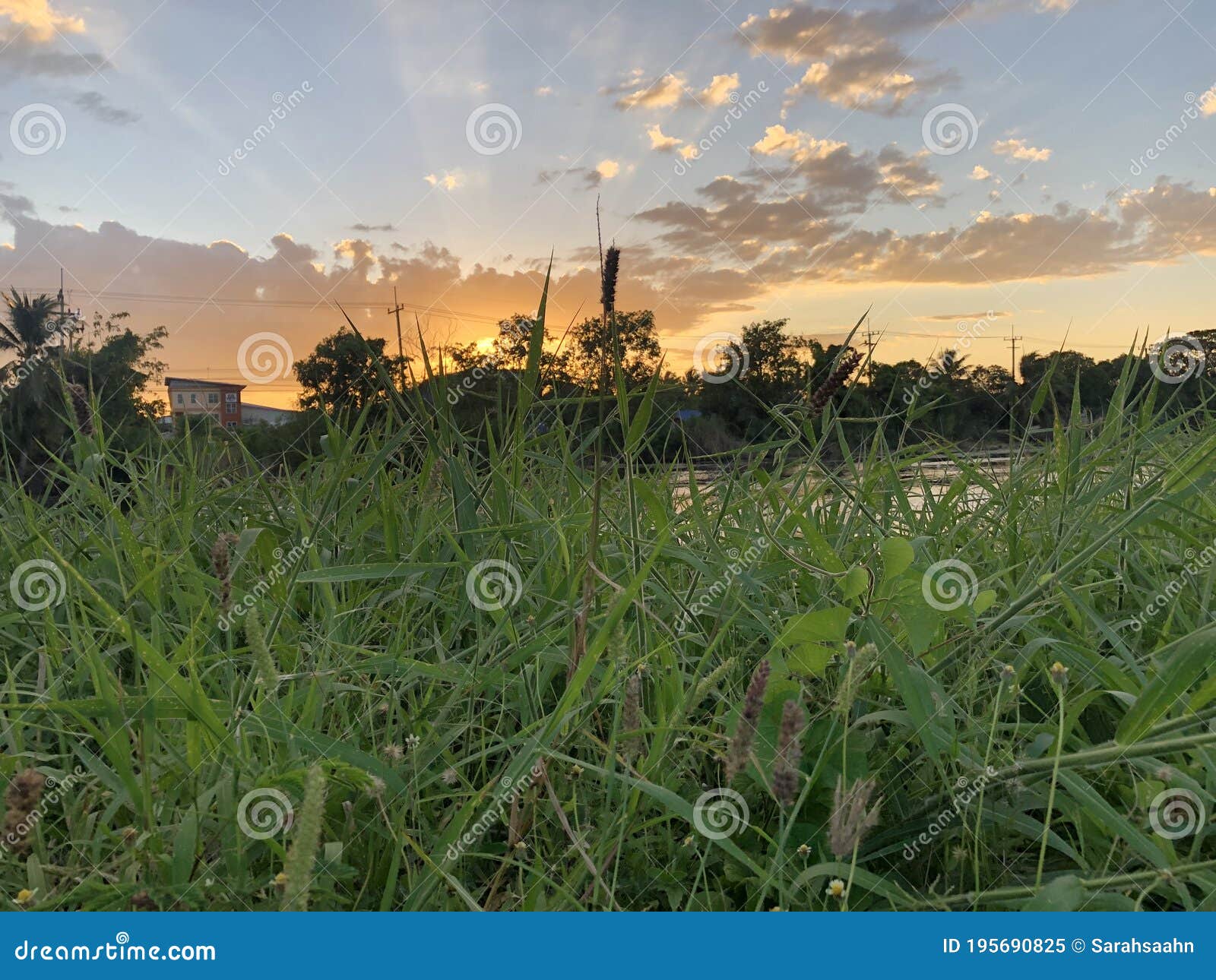 Sunray with dramatic sky stock image. Image of foreground - 195690825