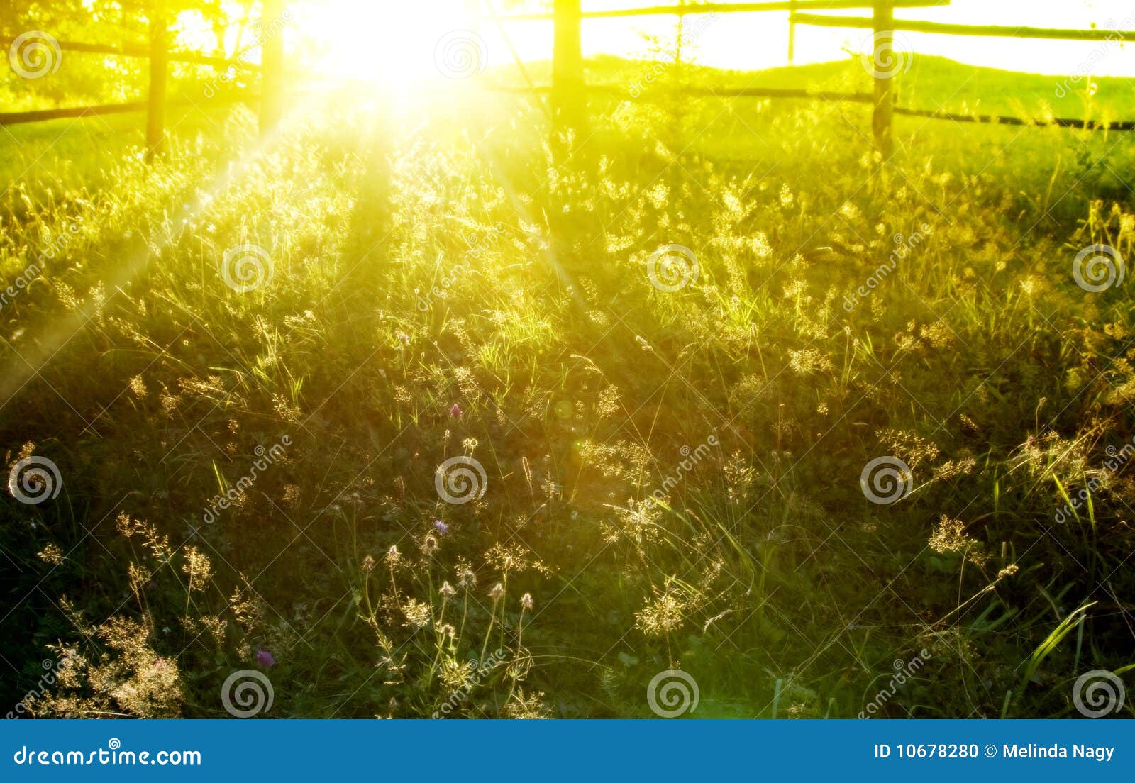 Sunrays Picture. Image: 10678280