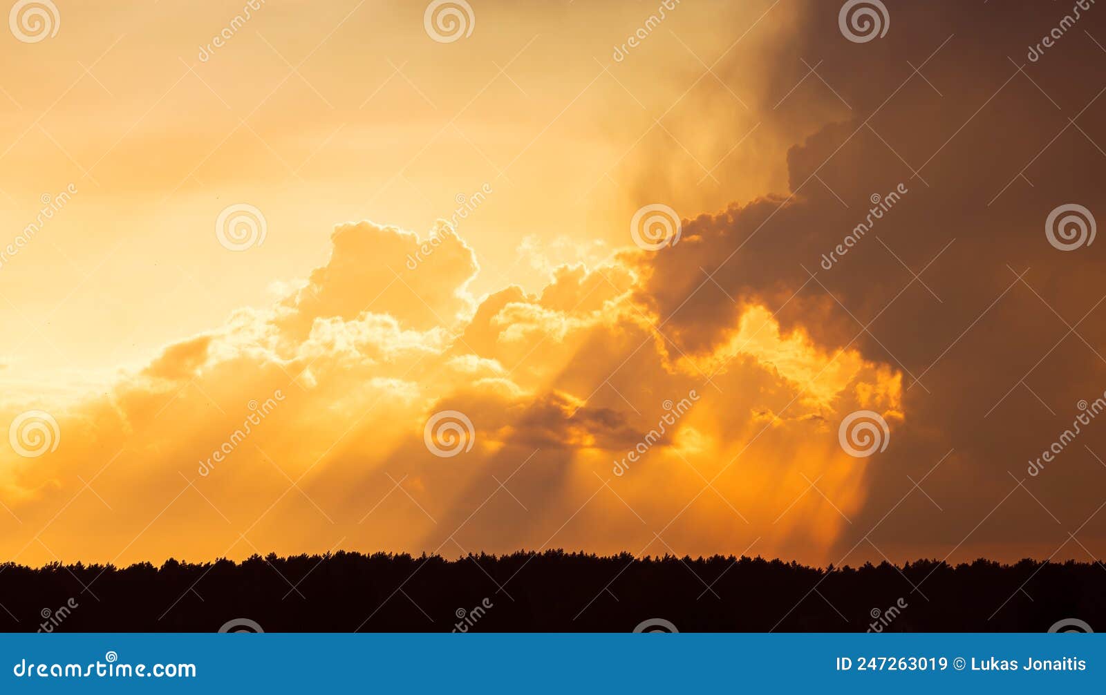 Sunrays in the Evening at Summer, Trust and Hope, Heaven Stock Image ...