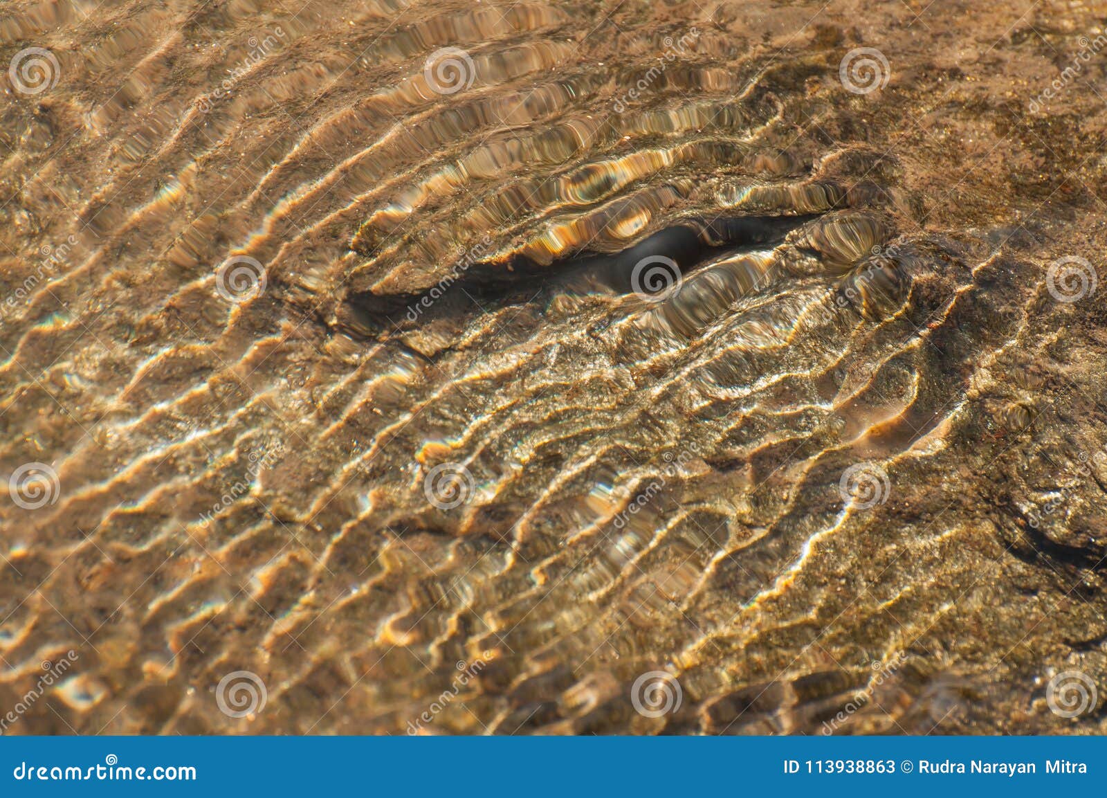 Abstract Image of Underwater Reflection of Subeams , Sikkim, India ...