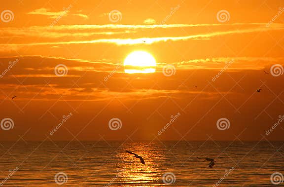 Sunrise stock image. Image of color, nature, coastline - 12627913