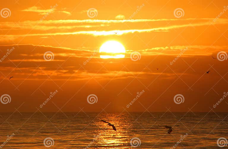 Sunrise stock image. Image of color, nature, coastline - 12627913