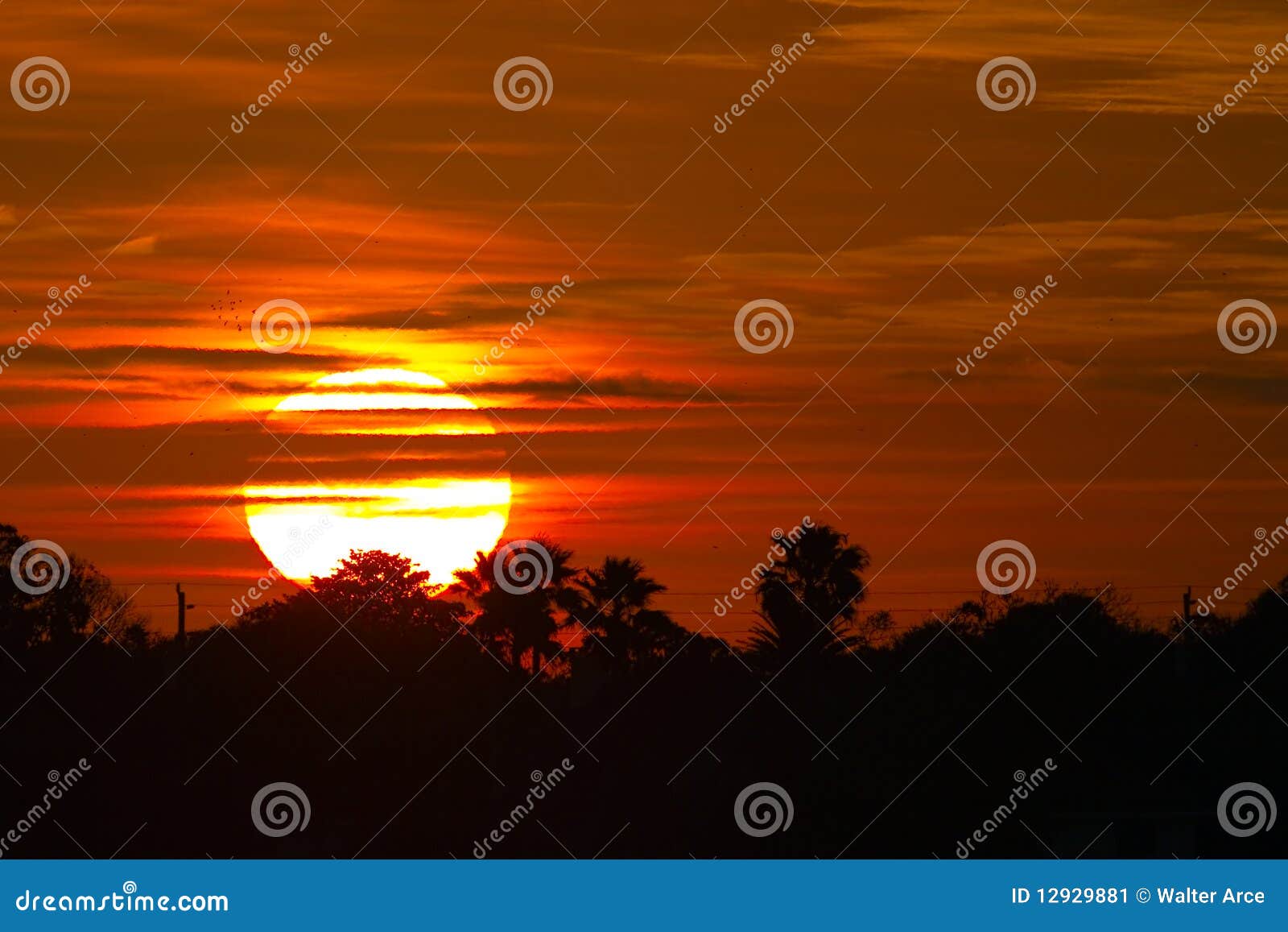 Sunrise stock image. Image of dark, blue, color, dusk - 12929881